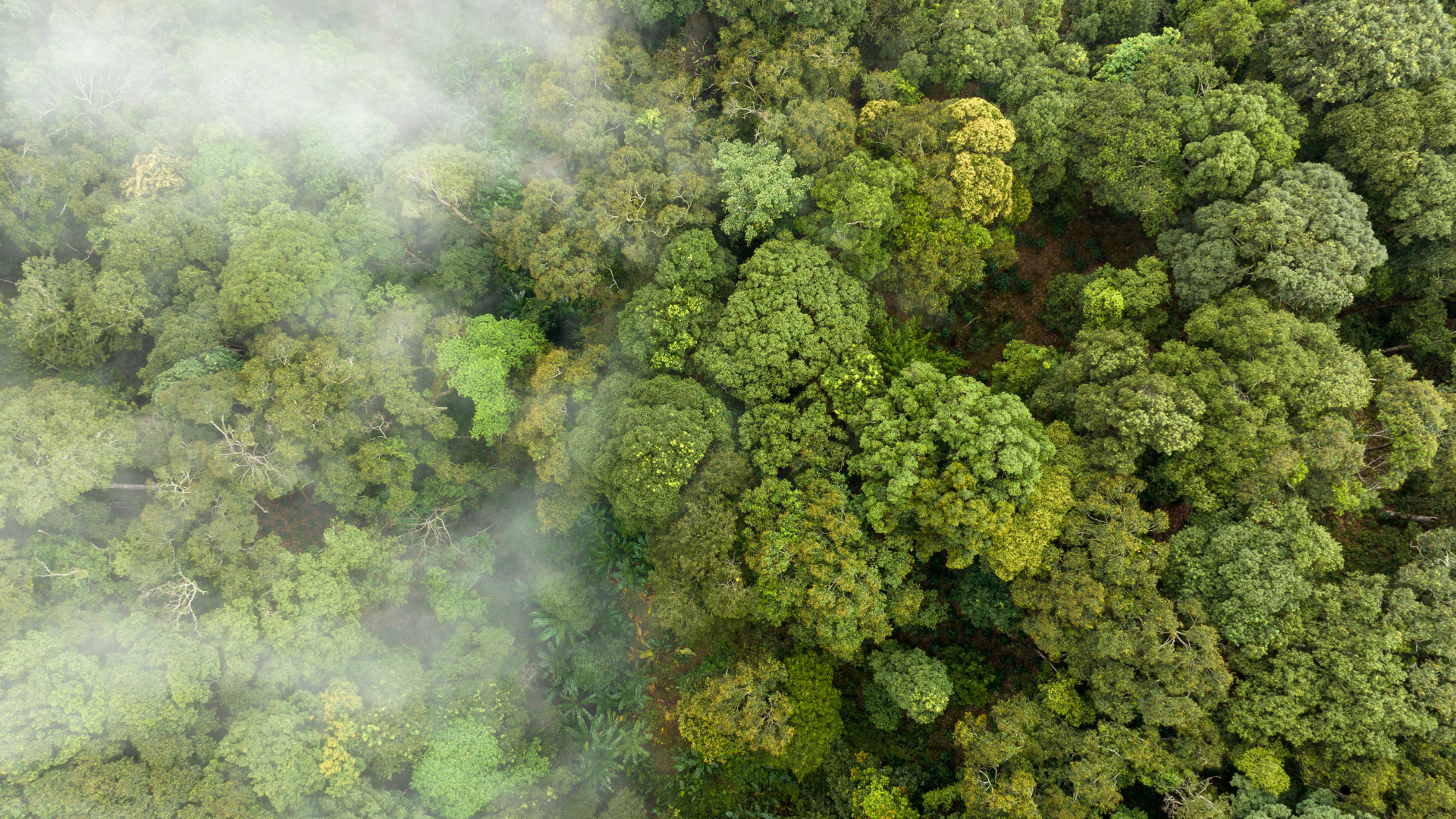 UNDERSTANDING GHG VERIFICATION: WHY IT MATTERS AND HOW TO GET STARTED ...